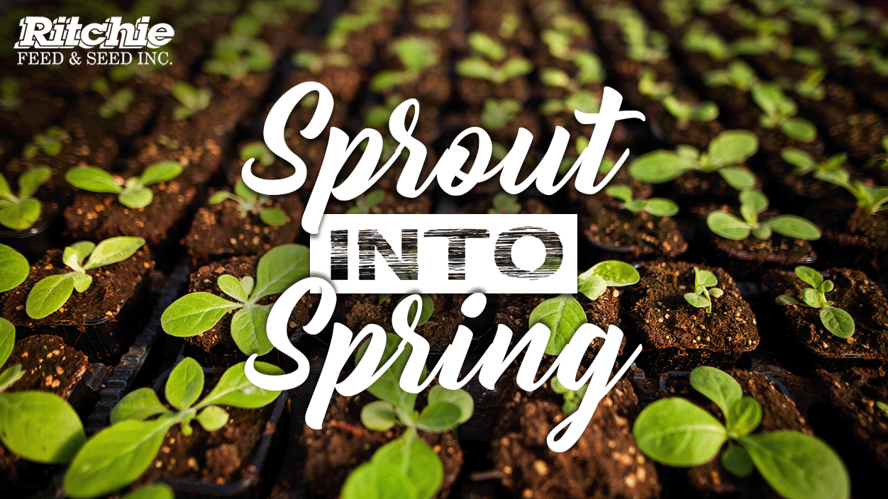 Sprout Into Spring with Ritchie Feed & Seed