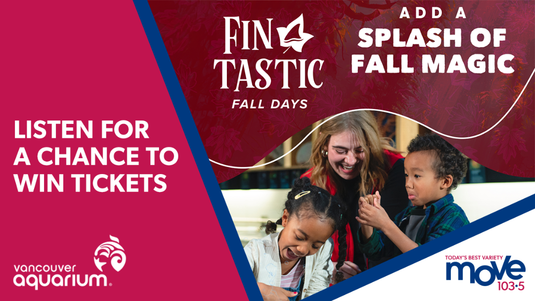 MOVE Radio's Dream Big